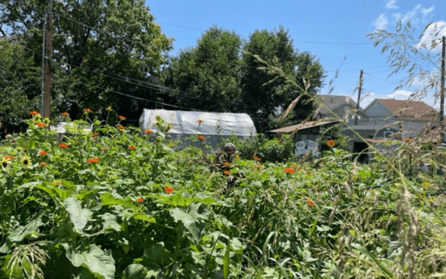 New Roots Urban Farm Is Church Near the Corner of Hogan and N Market ...