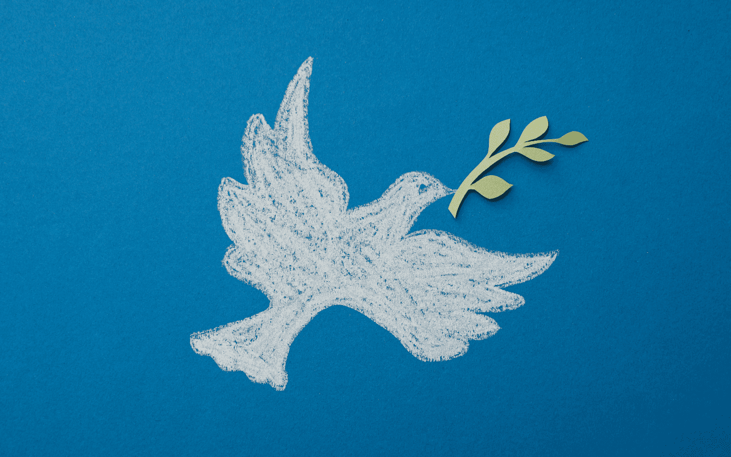 Hope for Permanent Peace in Israel and Palestine at Historic Lows ...