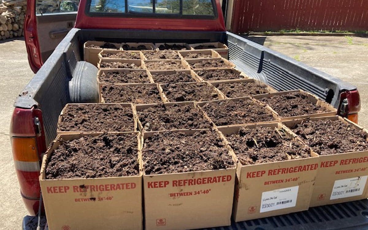 Why Your Spiritual Formation is Like Composting - Good Faith Media