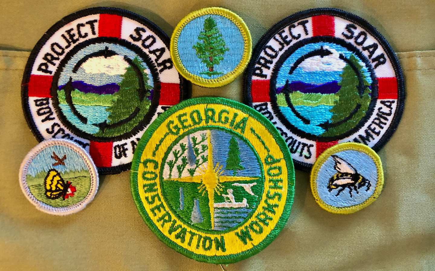 Politicizing Creation Care Damages Both Nature and Witness - Good Faith ...