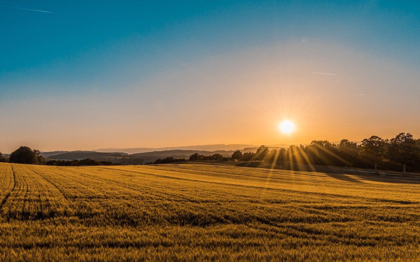 Why, and How, You Should Practice the Ritual of Land Acknowledgment ...
