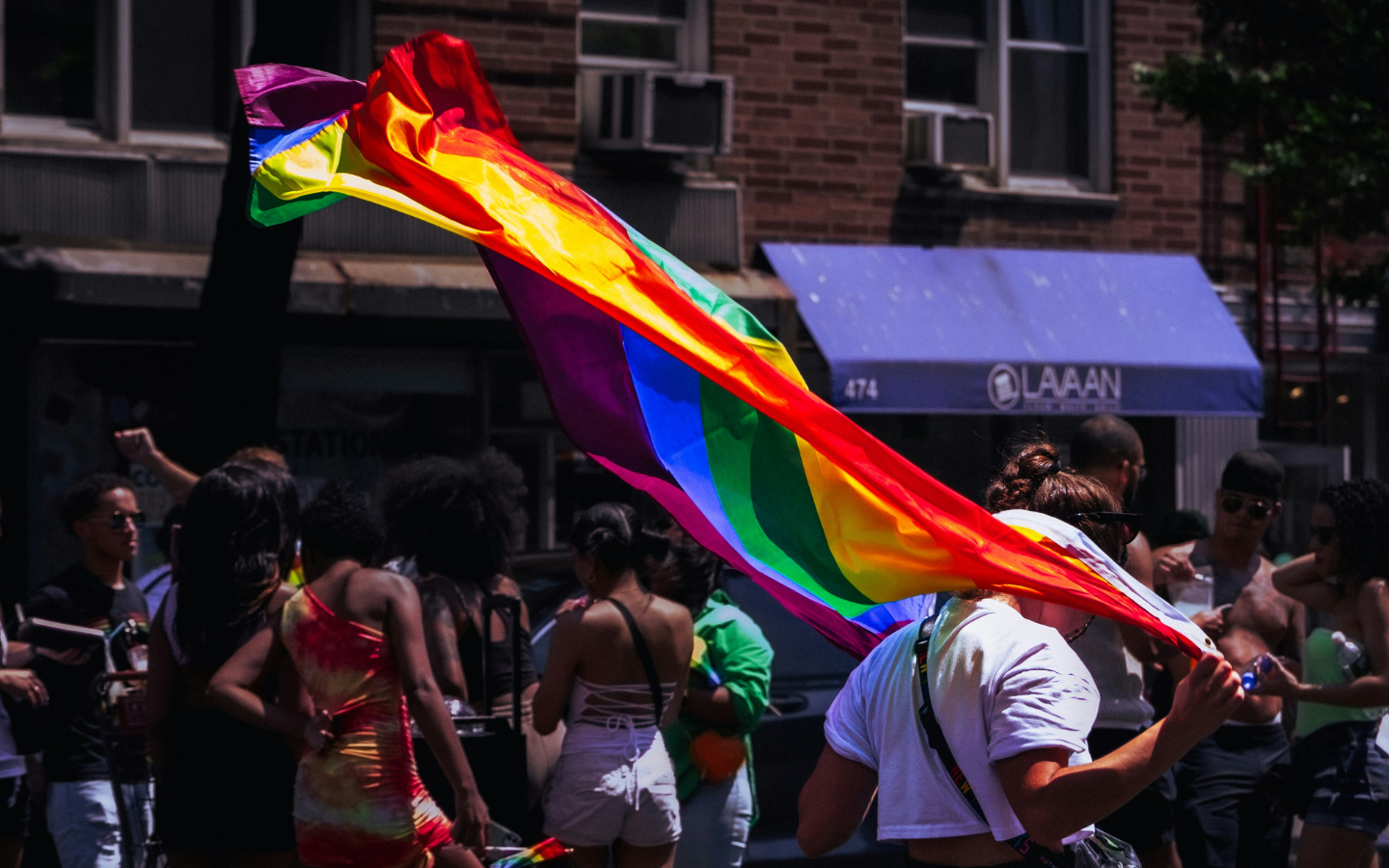 Queer Joy as Resistance to Senator Marsha Blackburn: Dissonance and ...