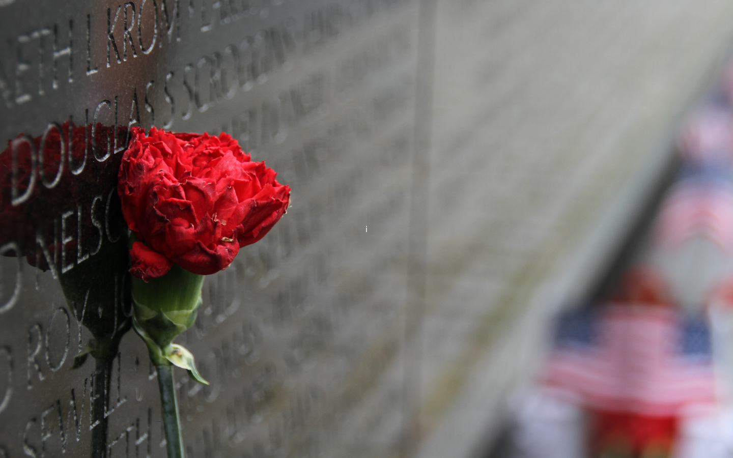 Memorial Day: Why Remembering is Important