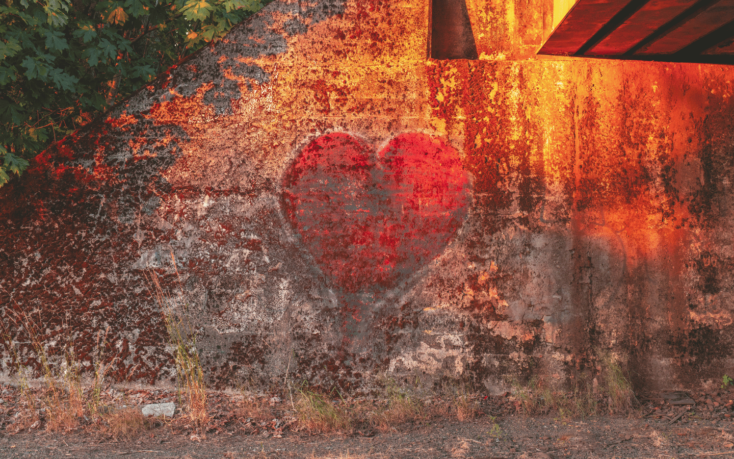 Progressive Christianity | When Love Refuses to Look Away - Good Faith ...