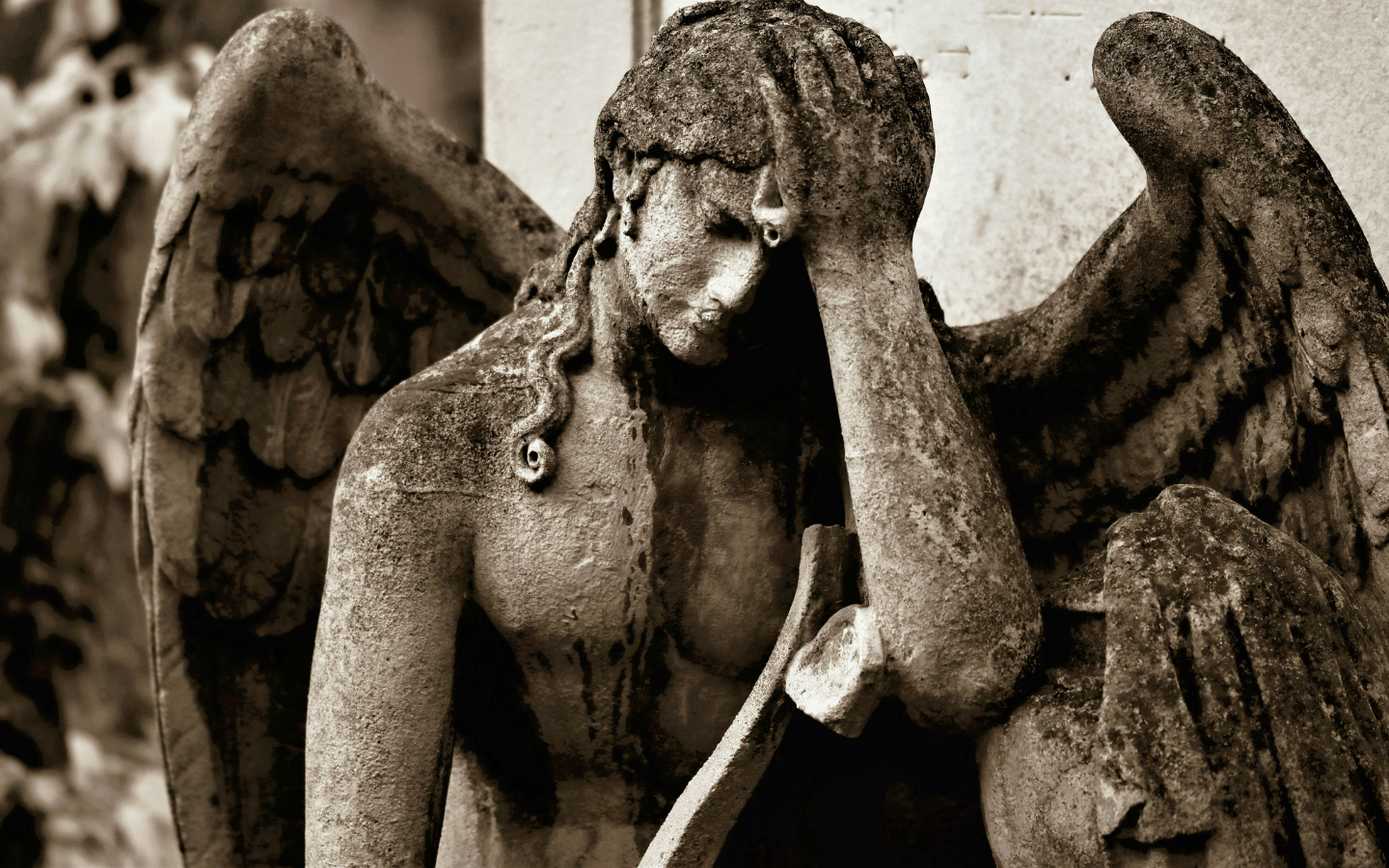 A Counselor’s Grief - Good Faith Media